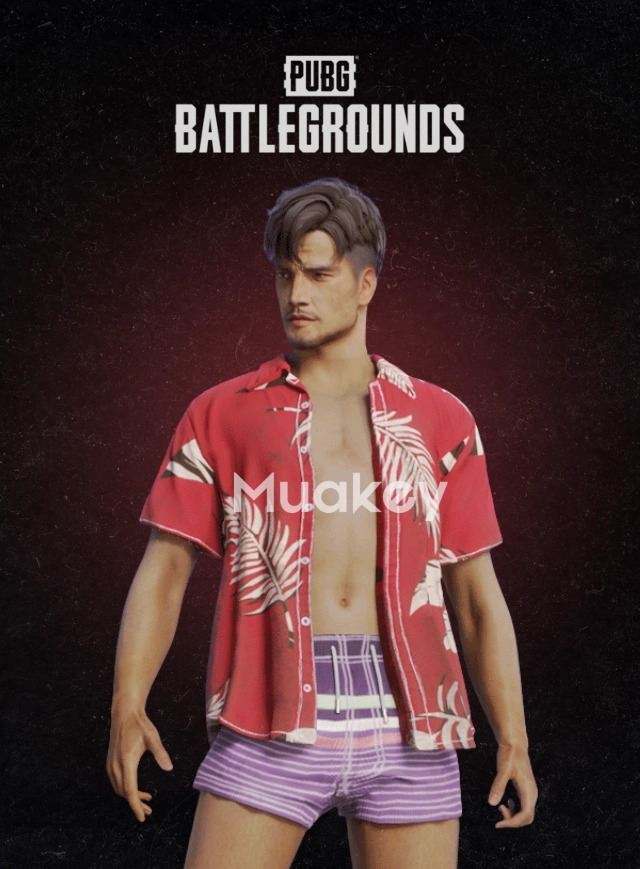 PUBG PC: SUMMER BUTTON-UP SET CDKey