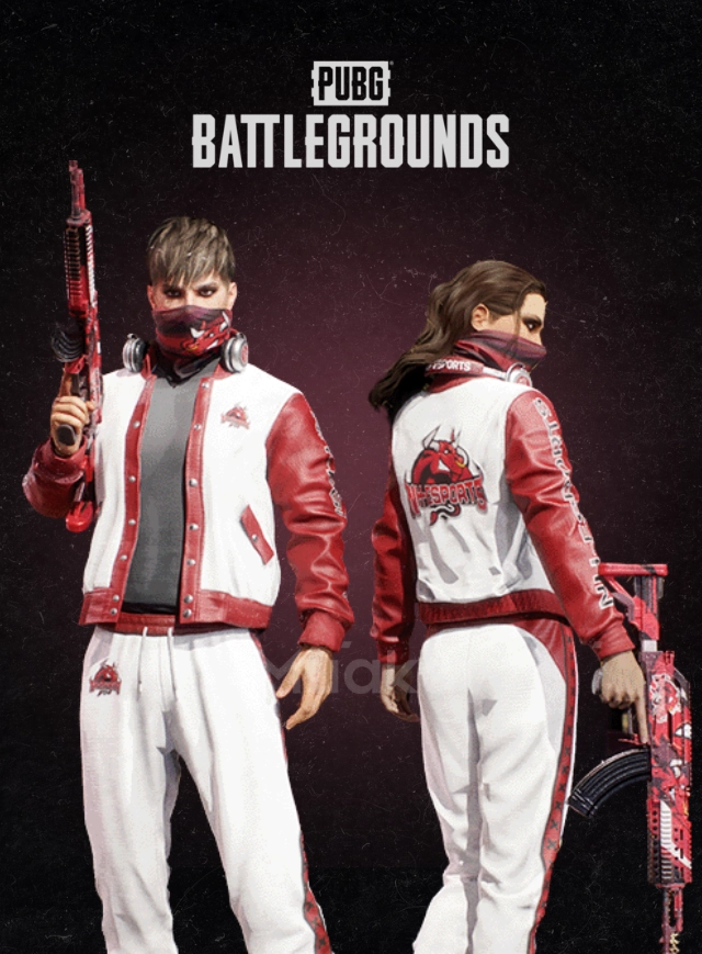 PUBG PC: NH-ESPORTS SET CDKey