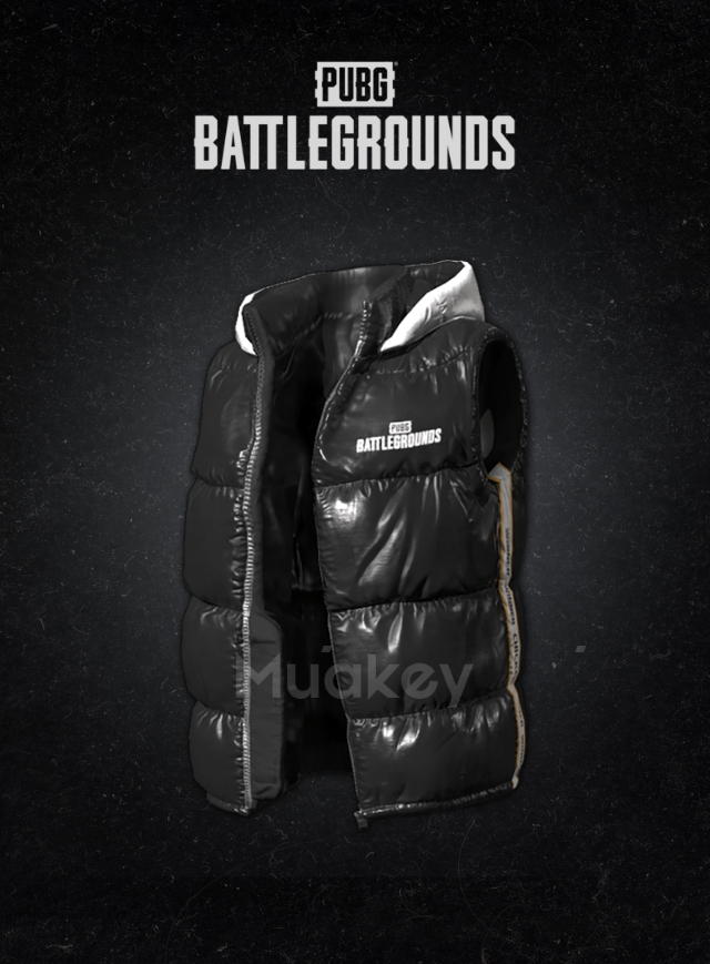PUBG PC: Night Stalker Vest CDKey